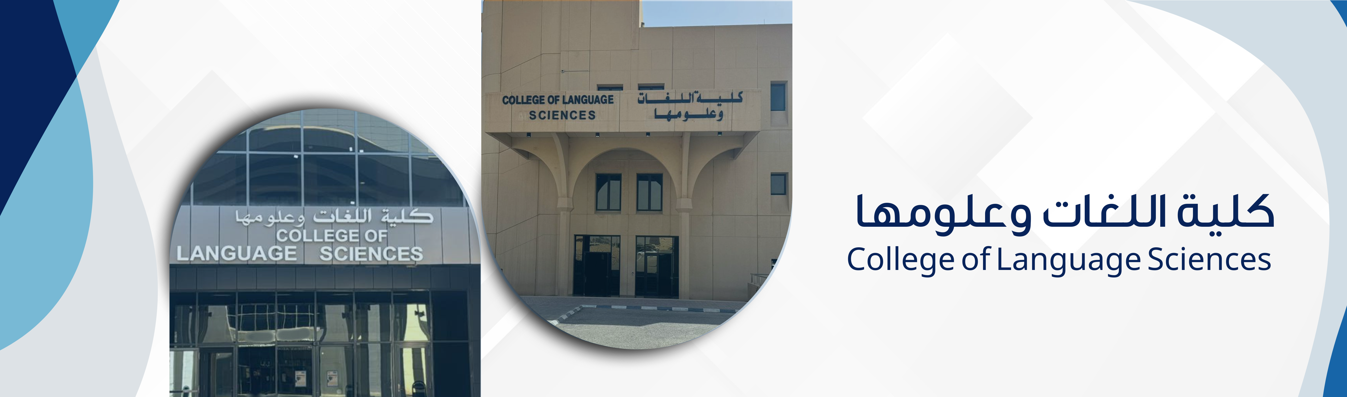 رئيس القسم | كلية اللغات وعلومها